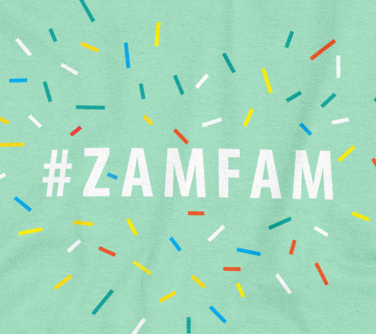 Zamfam T-Shirt | Apparel | Rebecca Zamolo